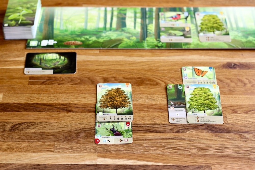 Lookout Spiele - Forest Shuffle